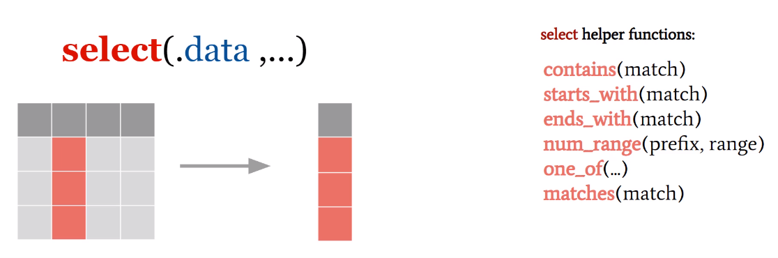 R packages for data science: tidyverse - dplyr
